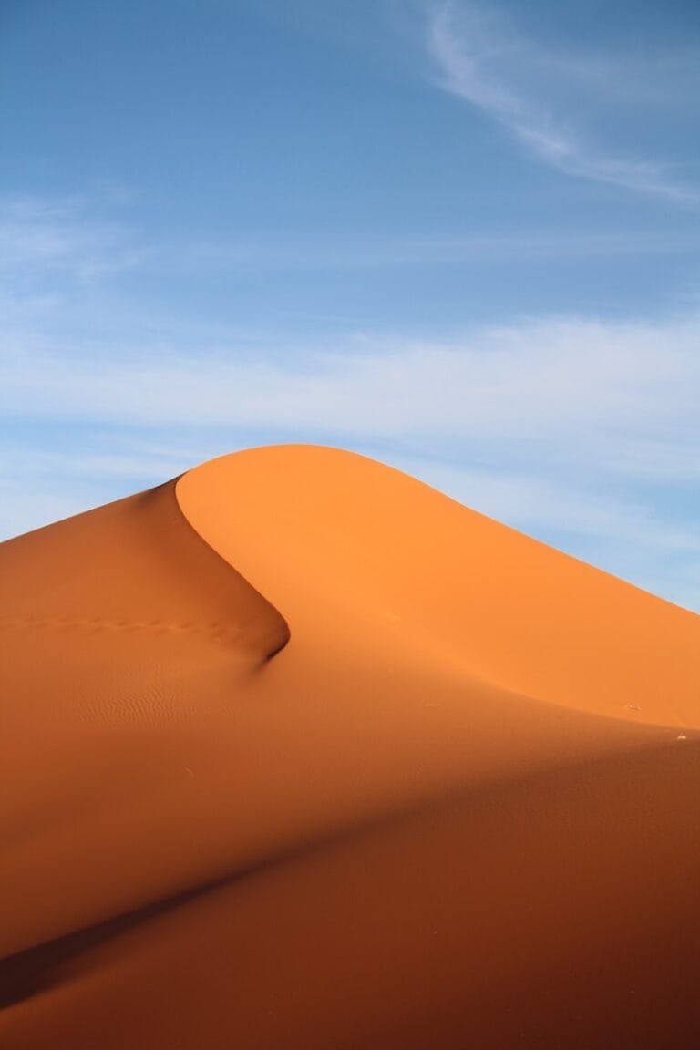 Ultra Marathon Training for Desert Races: Ultimate Guide